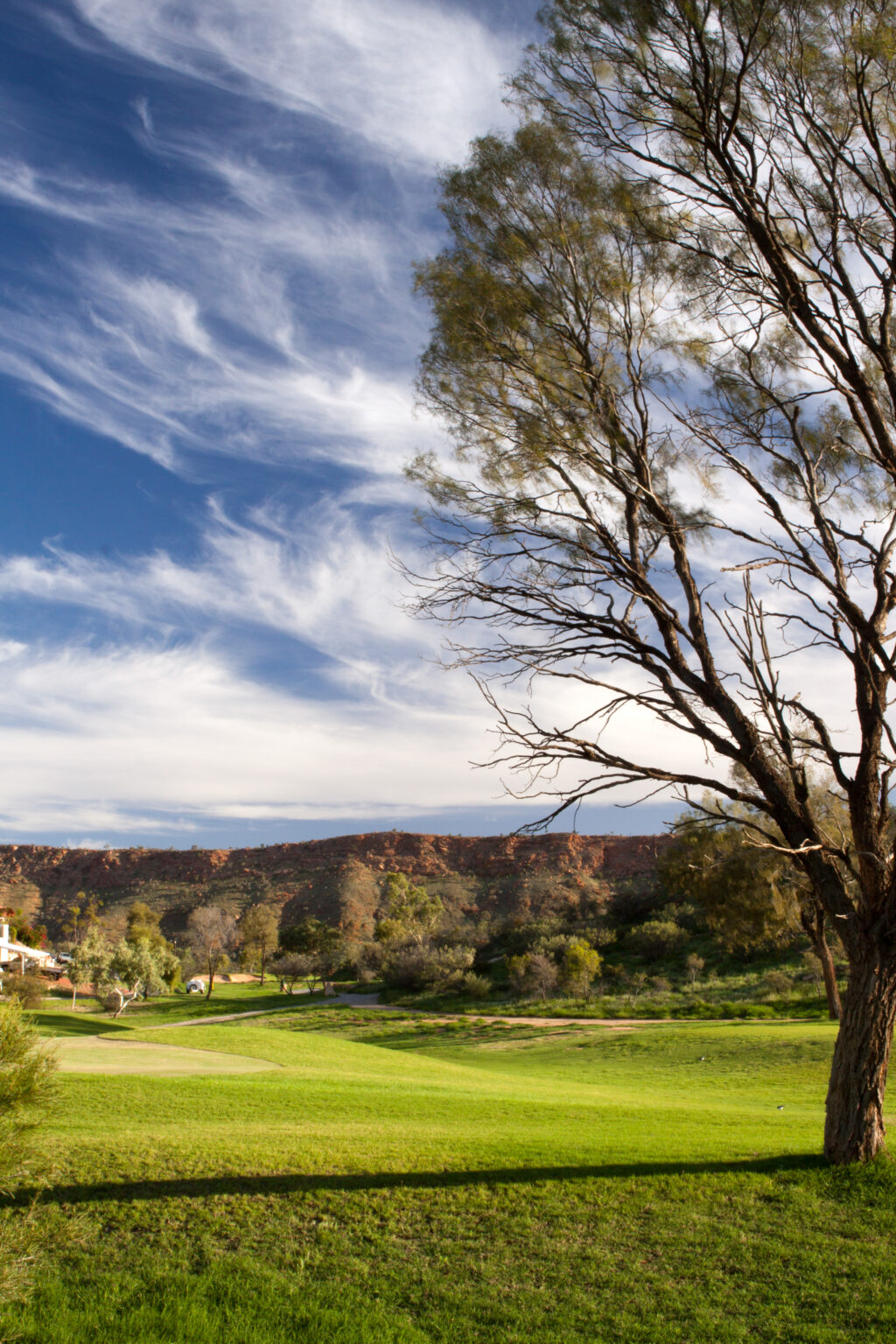 Gallery – Alice Springs Golf Club