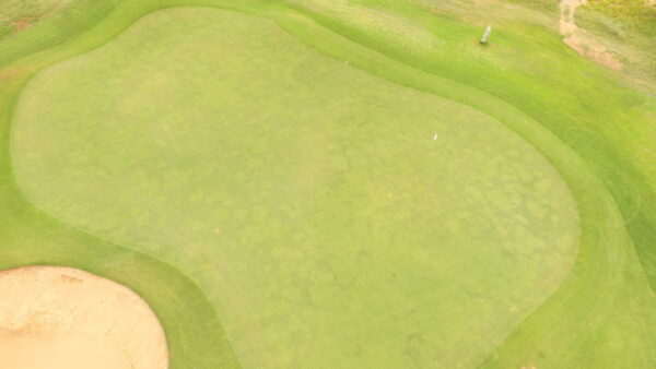 Gallery – Alice Springs Golf Club