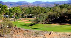 Alice Springs Golf Club – An oasis in the desert